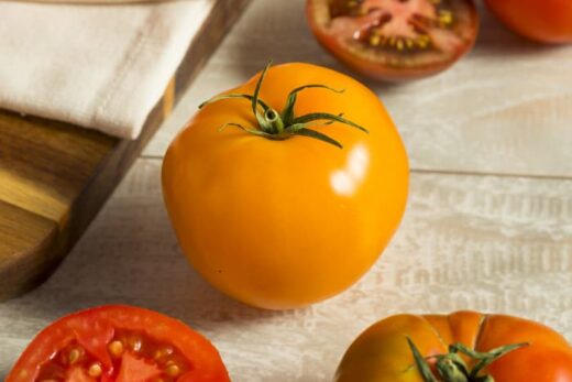 The Azoychka Tomato - Minneopa Orchards