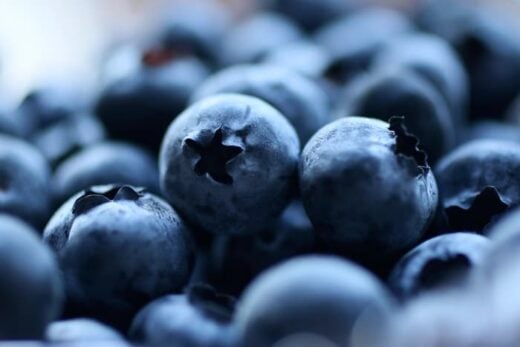 The Sharpblue Blueberry - Minneopa Orchards