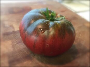 The Paul Robeson Tomato - Minneopa Orchards