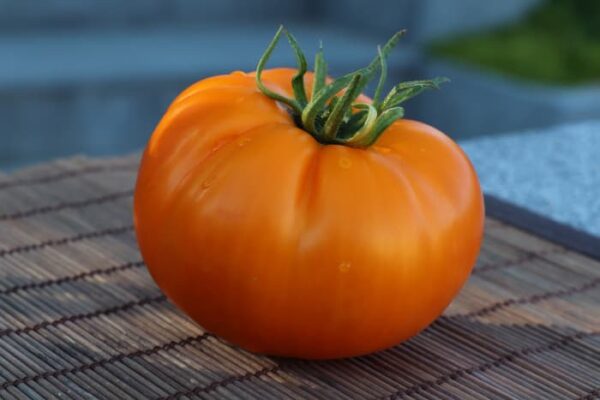 The Jubilee Tomato - Minneopa Orchards