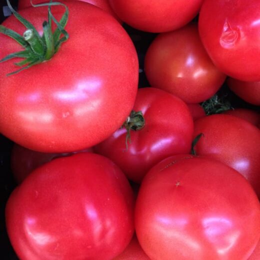 The Raspberry Lyanna Tomato - Minneopa Orchards