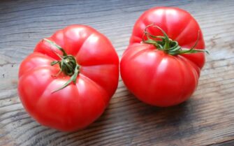 The German Pink Tomato - Minneopa Orchards
