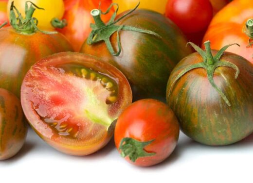 The Pink Boar Tomato - Minneopa Orchards