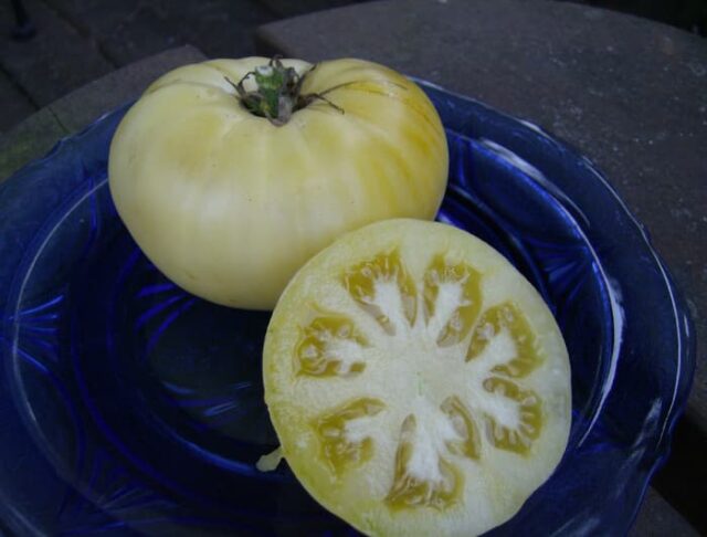 The Great White Tomato - Minneopa Orchards
