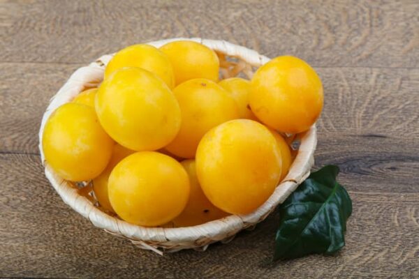 10 Benefits of Eating Plums For Your Body - Minneopa Orchards