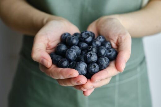 The Tifblue Blueberry - Minneopa Orchards