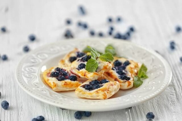 The Biloxi Blueberry - Minneopa Orchards