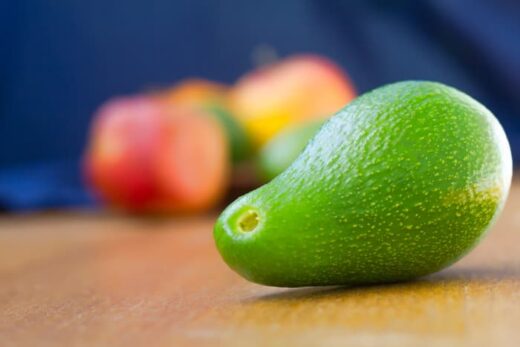 The Fuerte Avocado - Minneopa Orchards