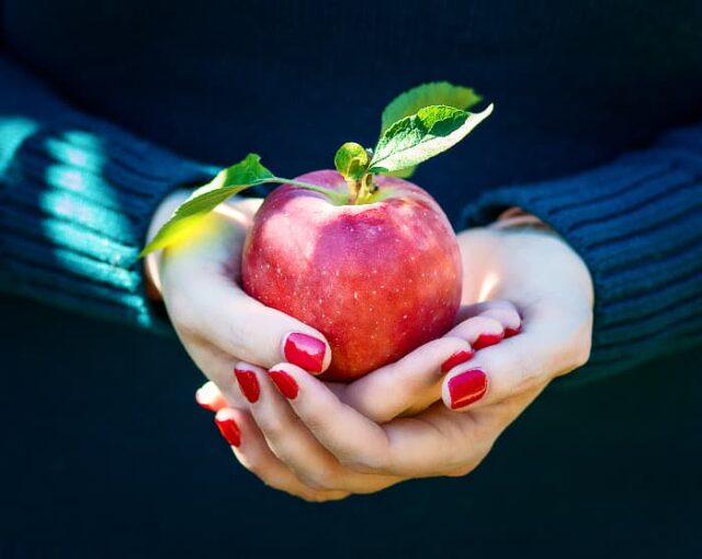 The Fireside Apple - Minneopa Orchards