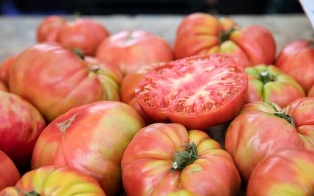The Dester Tomato - Minneopa Orchards