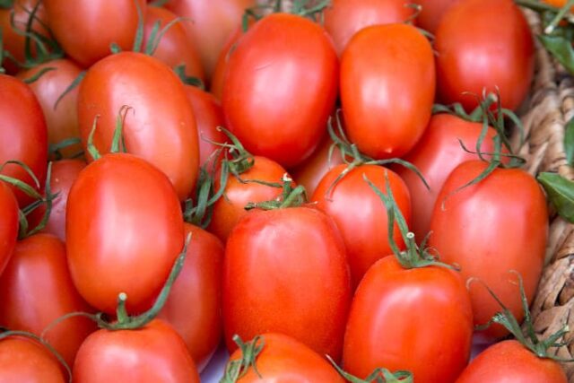 The Granadero Tomato - Minneopa Orchards