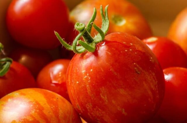 The Tigerella Tomato - Minneopa Orchards