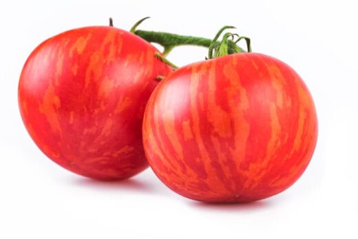The Tigerella Tomato - Minneopa Orchards