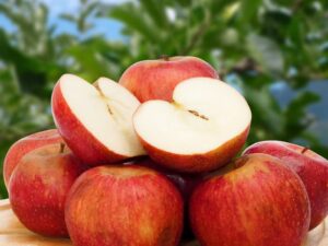 The Annurca Apple - Minneopa Orchards