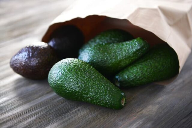 How to Ripen Avocados - Minneopa Orchards