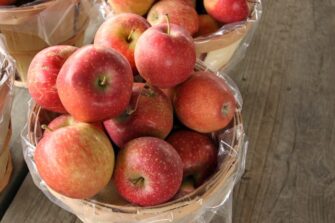 The York Imperial Apple - Minneopa Orchards