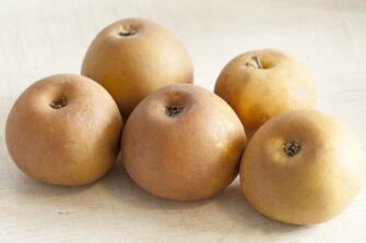 The Golden Russet Apple - Minneopa Orchards