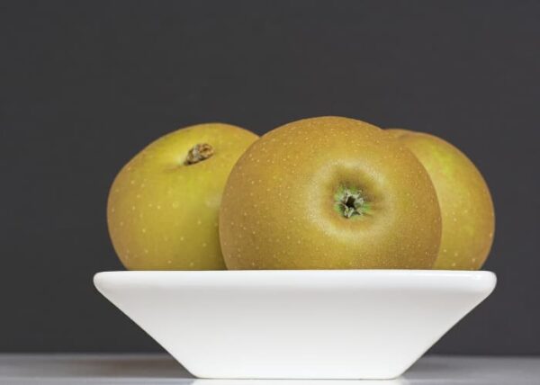 The Golden Russet Apple - Minneopa Orchards