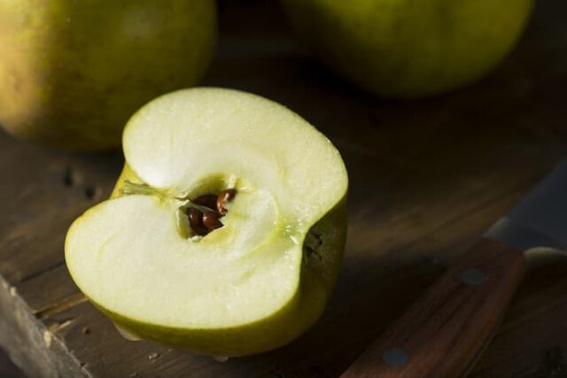 The Golden Russet Apple - Minneopa Orchards