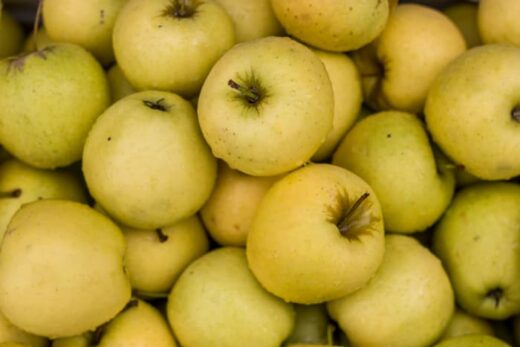 The Goldrush Apple - Minneopa Orchards
