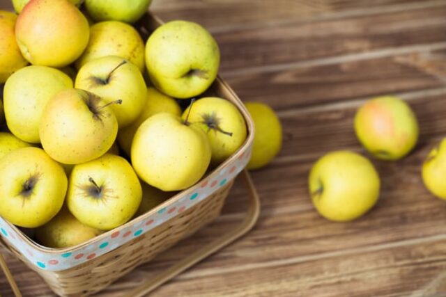 The Goldrush Apple - Minneopa Orchards