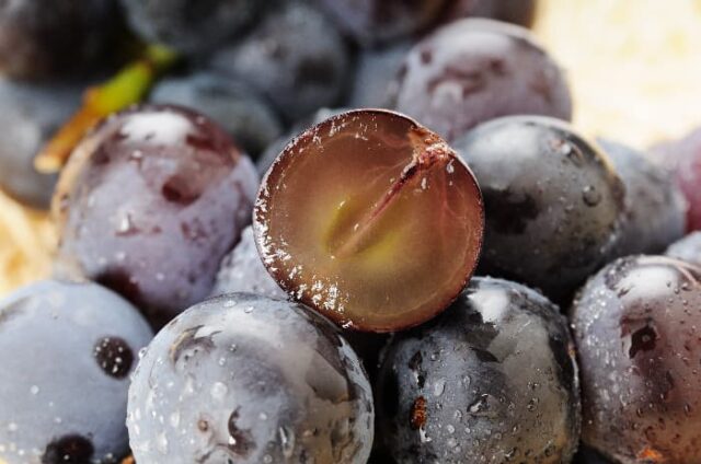 Kyoho Grapes - Minneopa Orchards