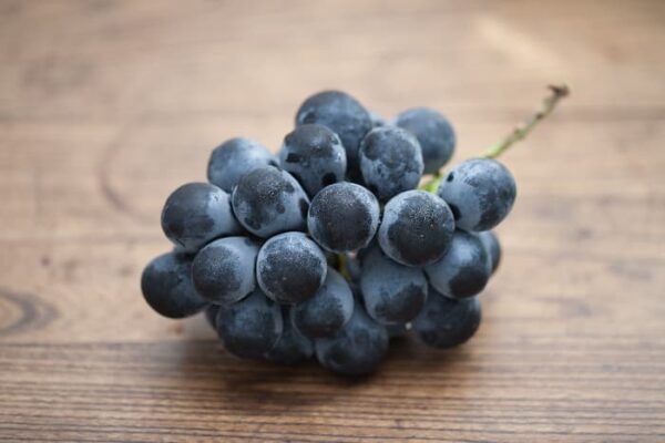 Kyoho Grapes - Minneopa Orchards