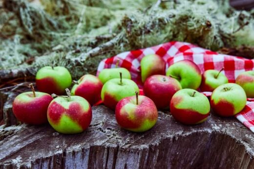 The Lady Apple - Minneopa Orchards