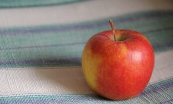 The Fireside Apple - Minneopa Orchards