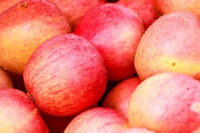 The Lady Alice Apple - Minneopa Orchards