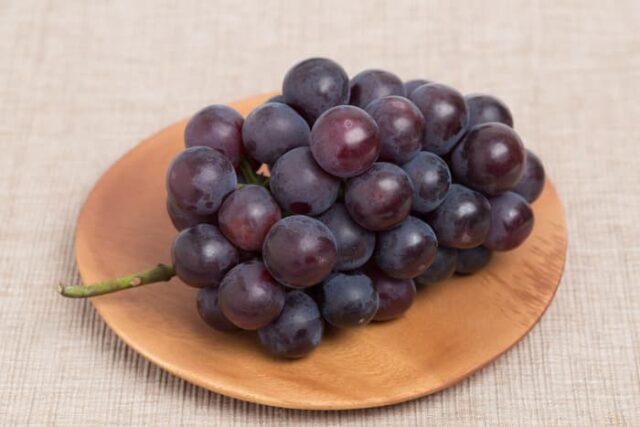 7 Kinds of Japanese Grapes - Minneopa Orchards
