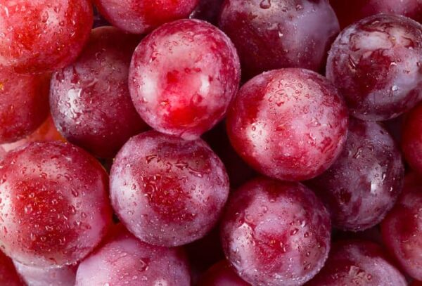 Ruby Roman Grapes - Minneopa Orchards