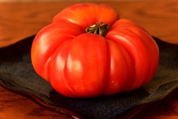 How To Grow Big Tomatoes - Minneopa Orchards