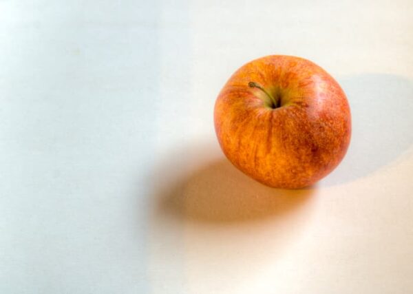 The Rubinette Apple - Minneopa Orchards