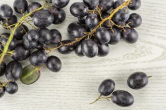 10 Kinds of Black Grapes - Minneopa Orchards