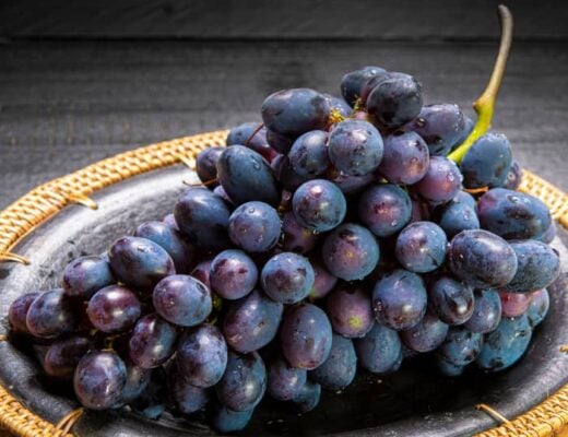 10 Kinds of Black Grapes - Minneopa Orchards