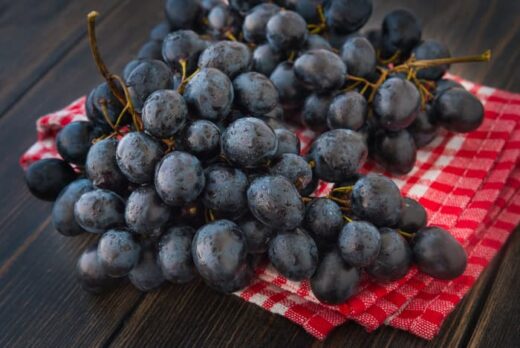 10 Kinds of Black Grapes - Minneopa Orchards