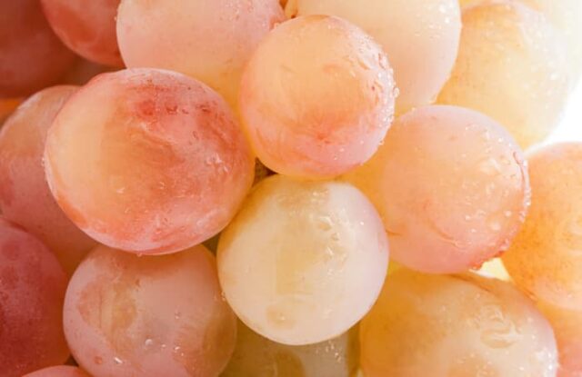 7 Kinds of Pink Grapes - Minneopa Orchards