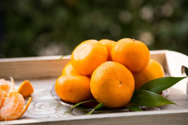 Kishu Mandarins - Minneopa Orchards