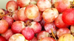 7 Kinds of Pink Grapes - Minneopa Orchards