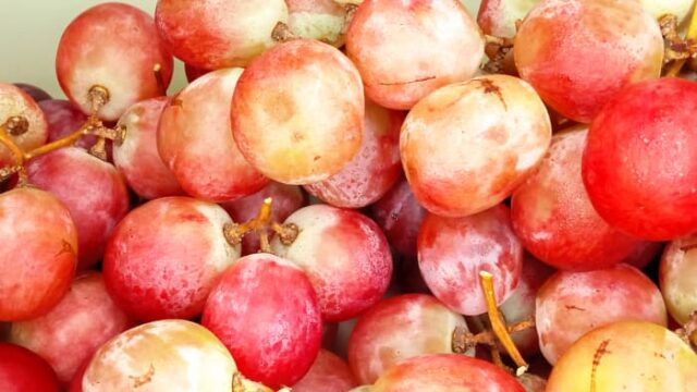 7 Kinds of Pink Grapes - Minneopa Orchards