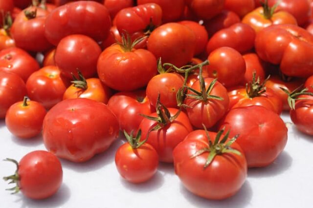 The Santorini Tomato - Minneopa Orchards