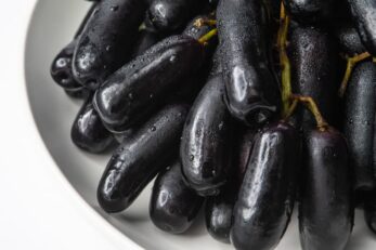 10 Kinds of Black Grapes - Minneopa Orchards