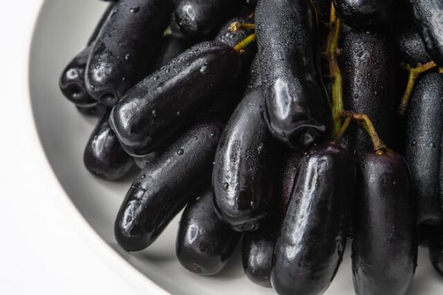 10 Kinds of Black Grapes - Minneopa Orchards