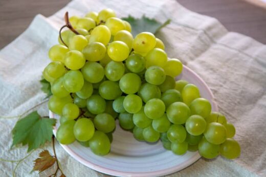 8 Kinds of Green Grapes - Minneopa Orchards
