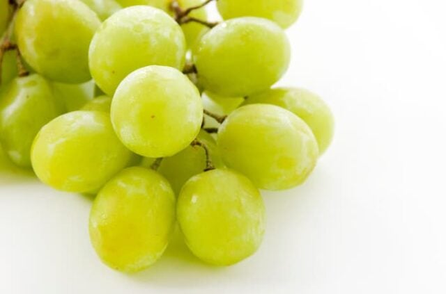 All About Carnival Grapes - Minneopa Orchards
