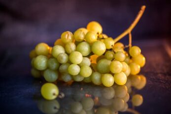 3 Kinds of Yellow Grapes - Minneopa Orchards