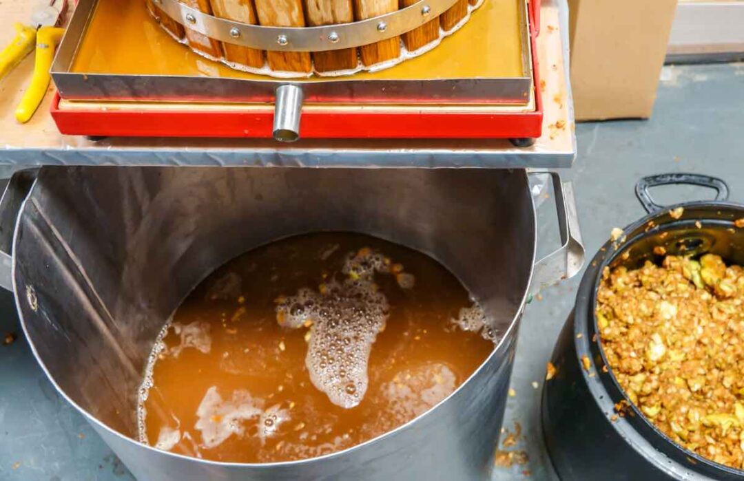 The 5 Best Apple Cider Presses For 2023 - Minneopa Orchards