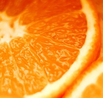 The Jaffa Orange - Minneopa Orchards