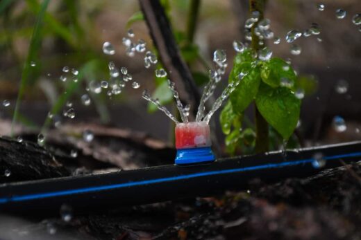 4 of the Best Drip Irrigation Systems - Minneopa Orchards